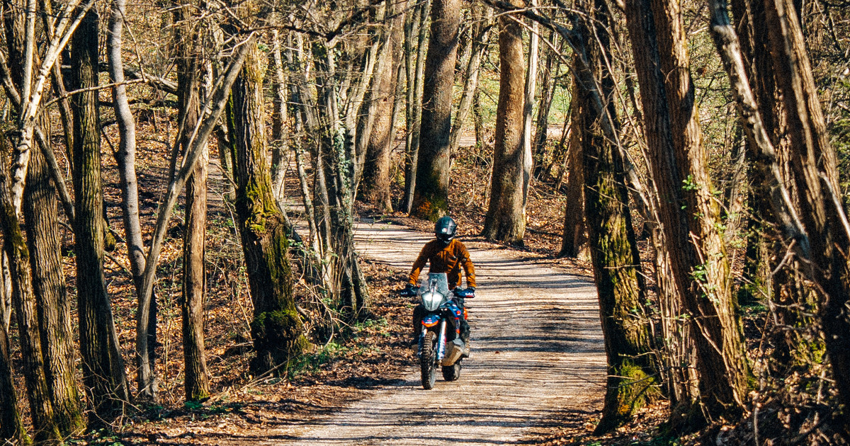 Montello by motorbike – history and silence among the woods of the Piave